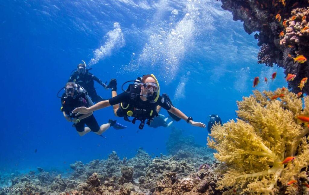 Itinerary Semporna Weekend Diving 2026 - Blue Star Travel & Tour